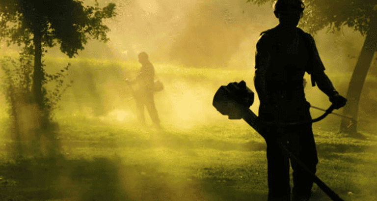 Request For Proposal - Field Cleaning And Maintenance Services - MIC ...